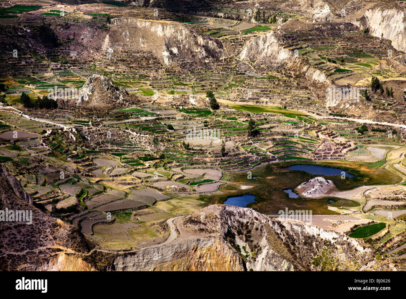 Peruvian landscape near Colca Canyon, Peru, South America Stock Photo ...