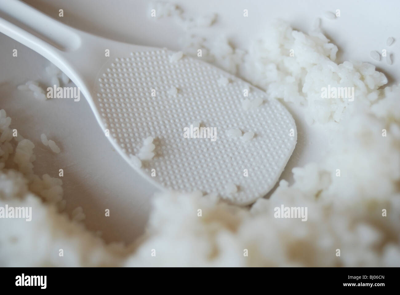 Cooking sushi rice hi-res stock photography and images - Alamy