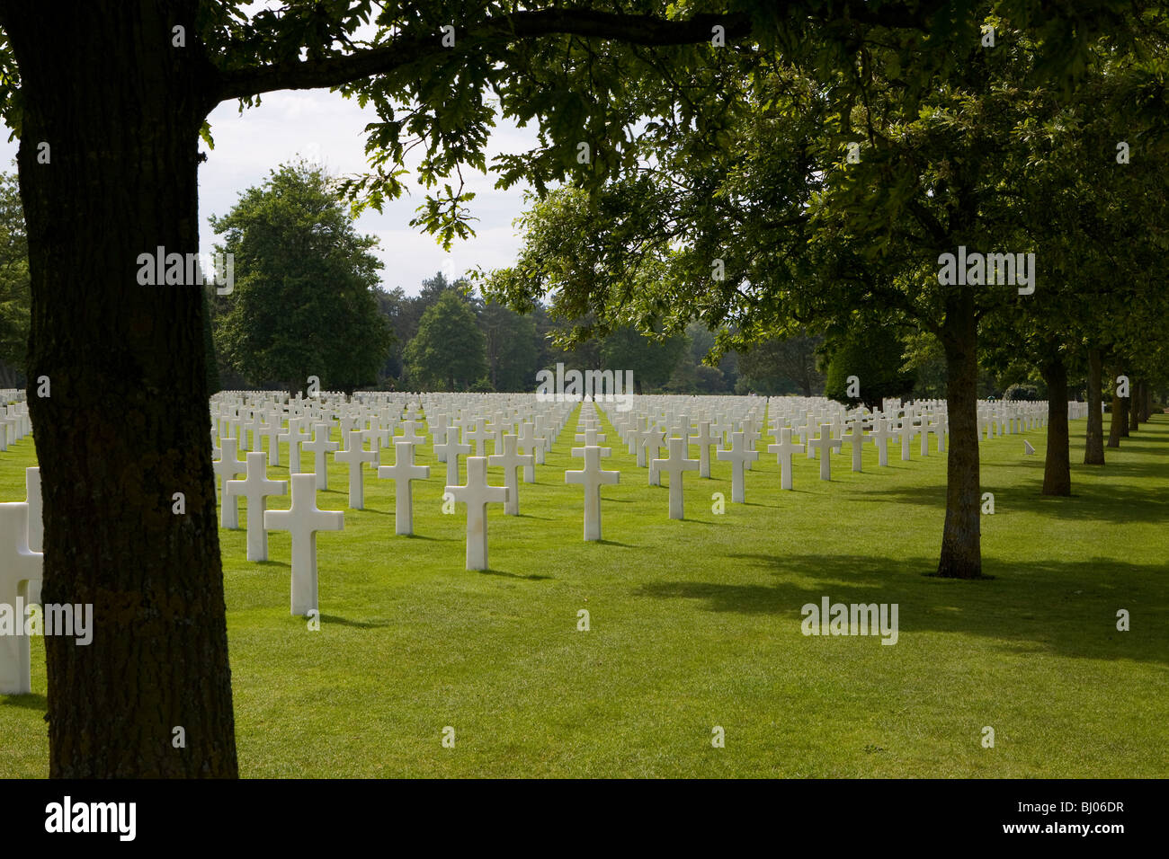 The military graves in the American War Cemetery, Normandy, France ...