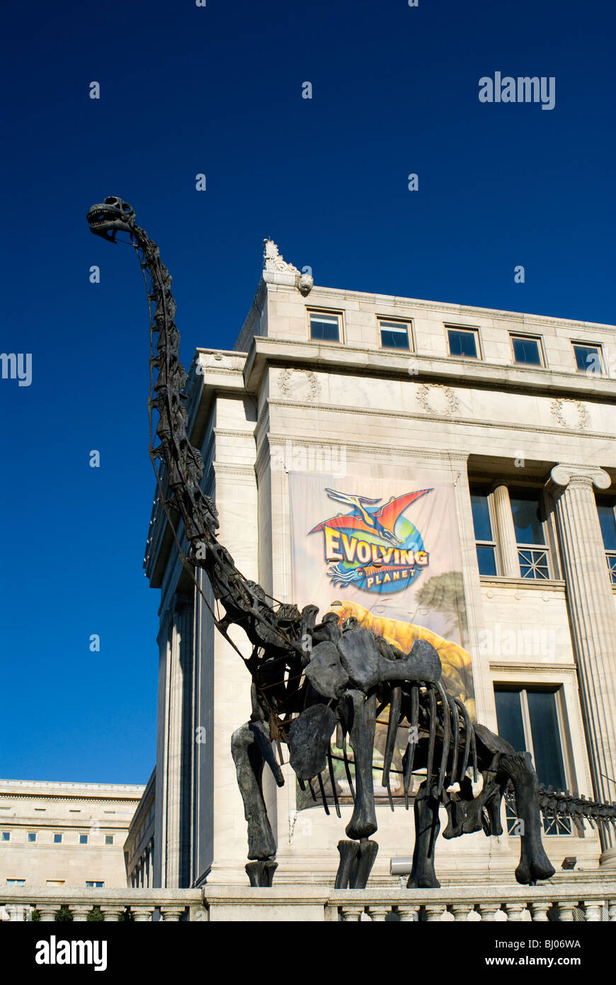 The field museum hi-res stock photography and images - Alamy