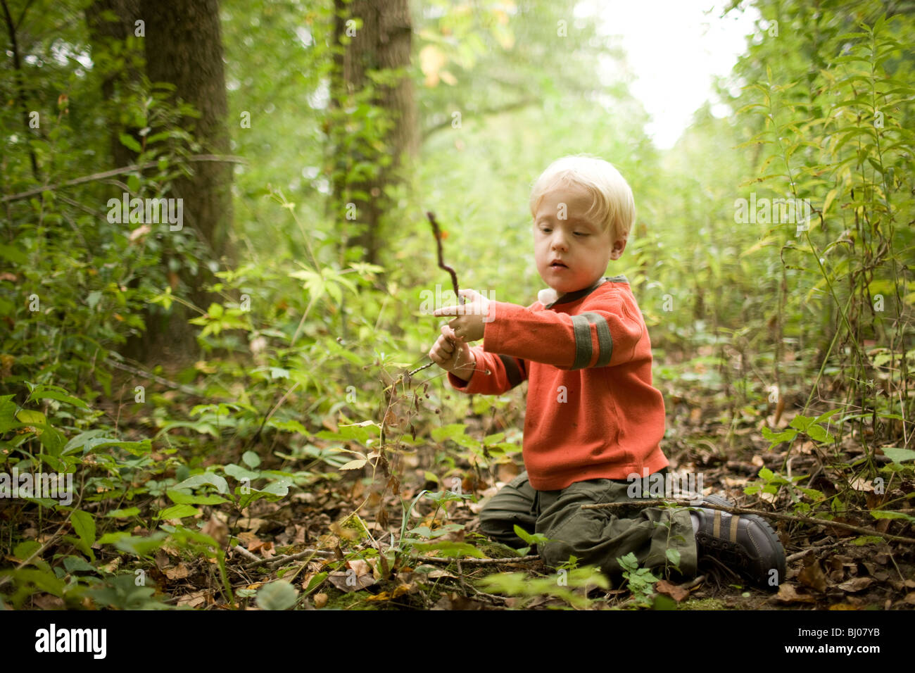 Young boy playing in the woods Stock Photo - Alamy