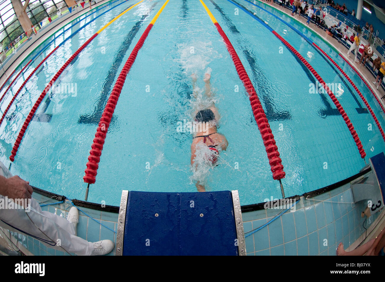 Indoor swimming pool competition winner at finish line Stock Photo - Alamy