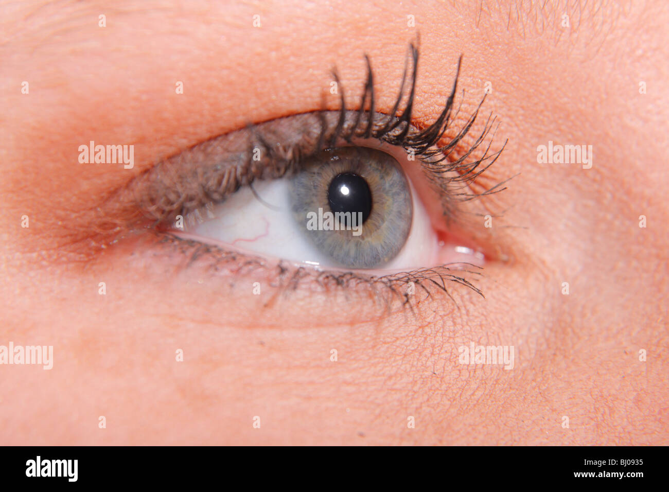 Parts of the human eye hi-res stock photography and images - Alamy
