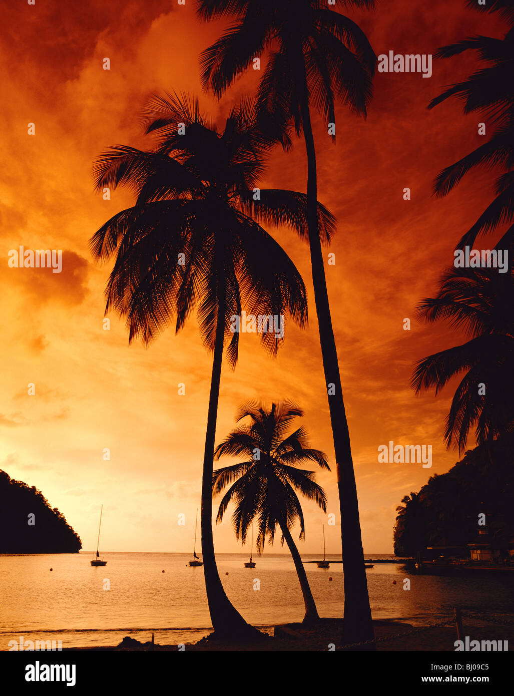 Sunset cruise st lucia hi-res stock photography and images - Alamy