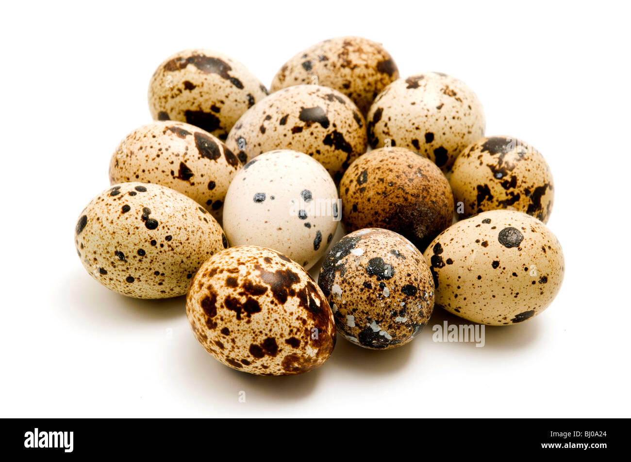 Quail eggs hi-res stock photography and images - Alamy
