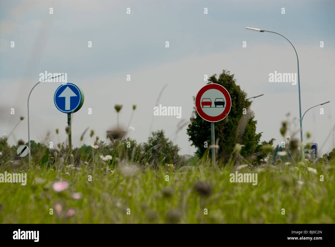 Sign posts on the road with long grass Stock Photo - Alamy