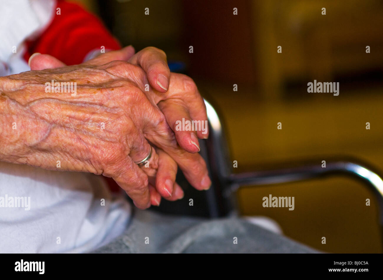 Womans aging hands folded Stock Photo - Alamy
