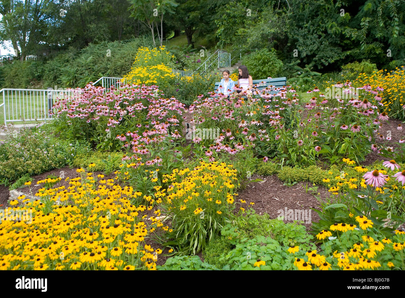 Butterfly Garden - Cardiff Hill - Lighthouse Stock Photo - Alamy