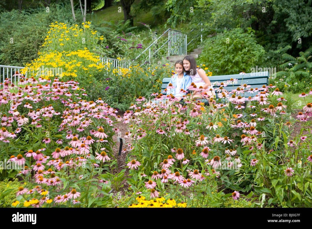 Butterfly Garden - Cardiff Hill - Lighthouse Stock Photo - Alamy