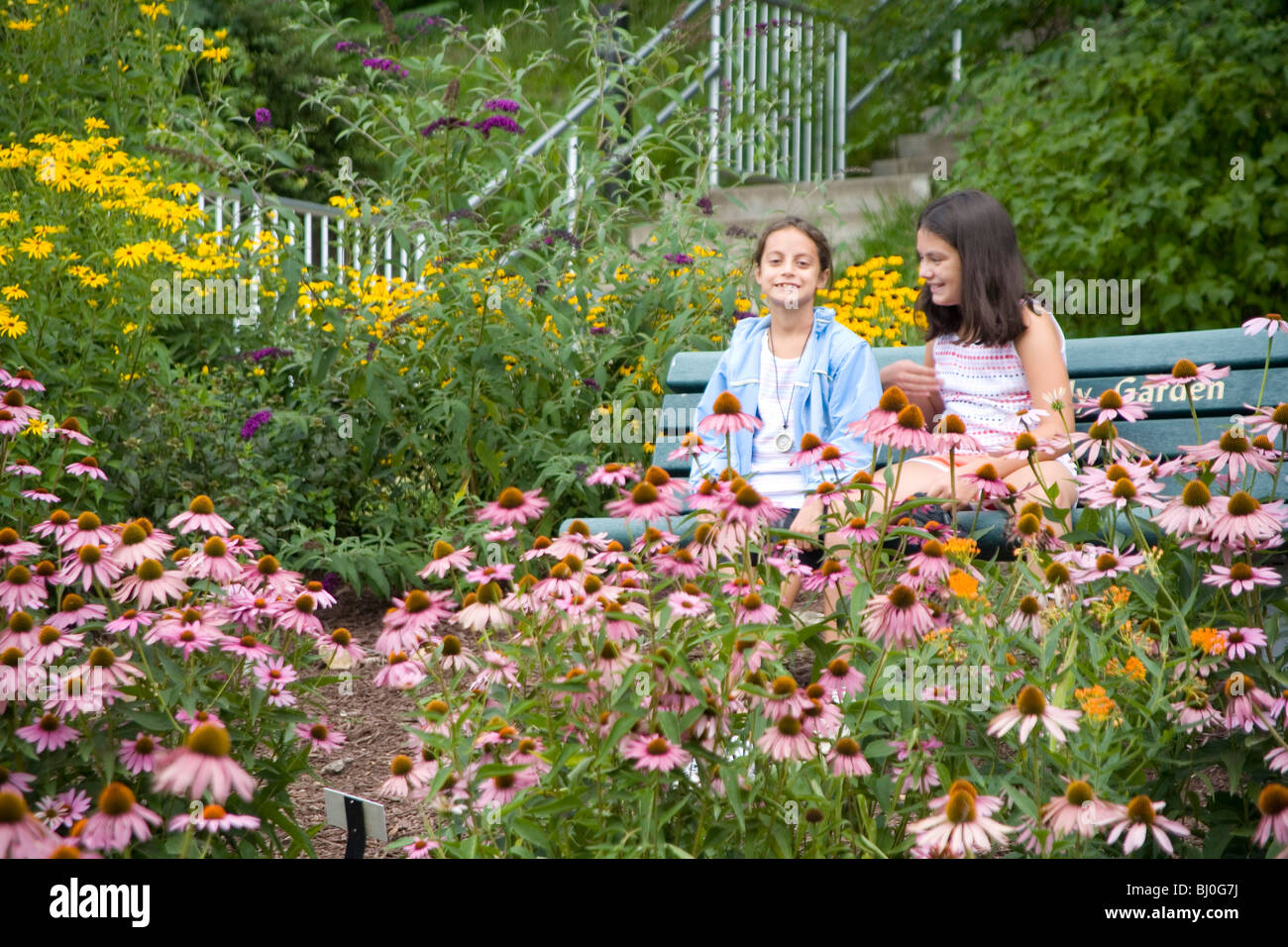 Butterfly Garden - Cardiff Hill - Lighthouse Stock Photo - Alamy