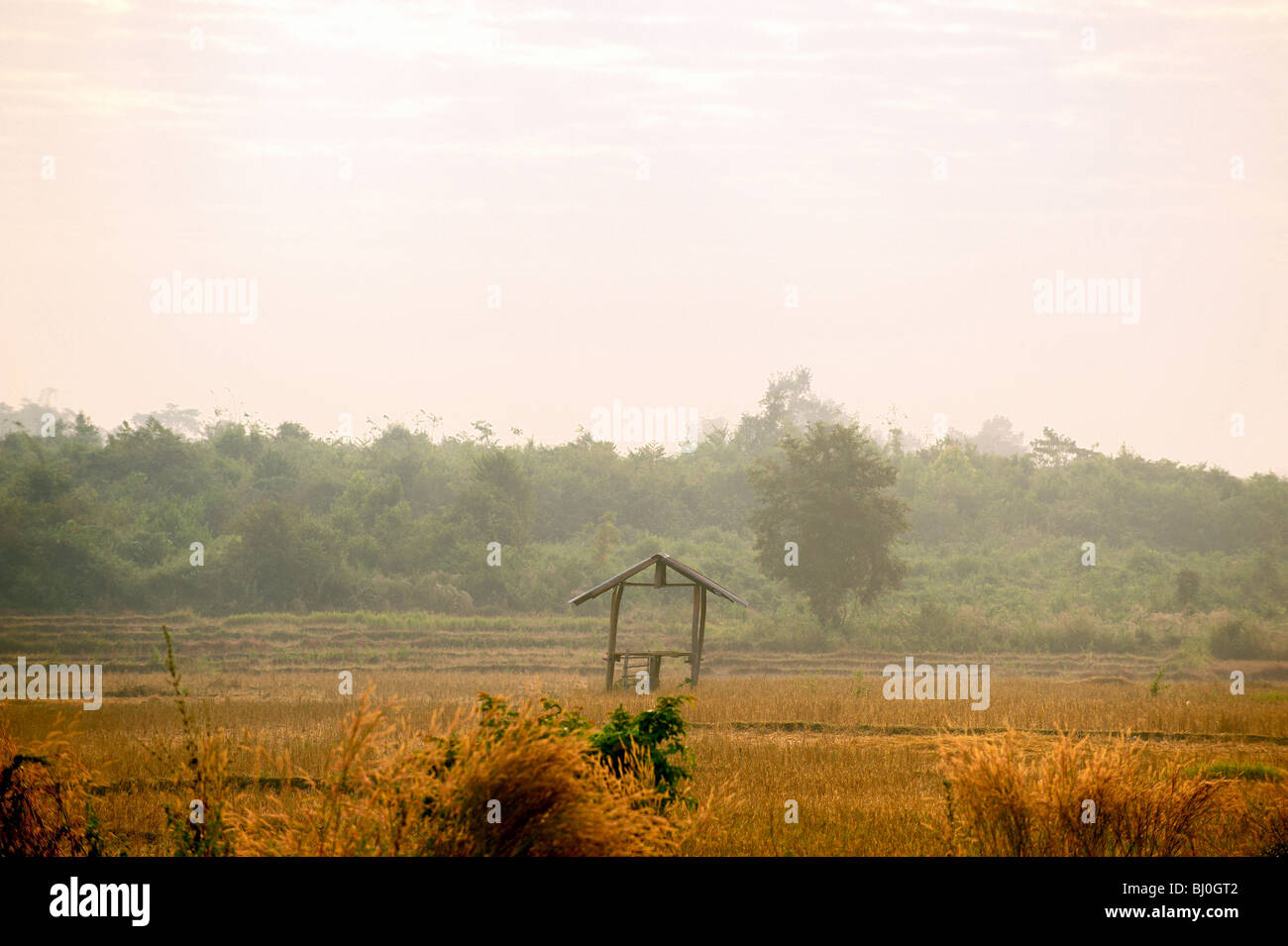 Paddy field pattern hi-res stock photography and images - Alamy