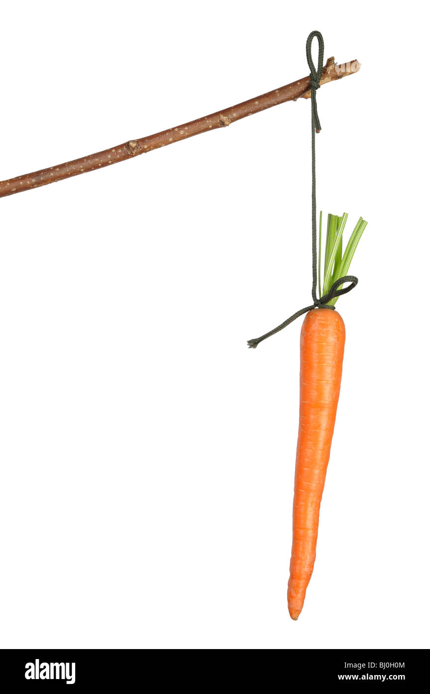 Carrot hanging stick hi-res stock photography and images - Alamy