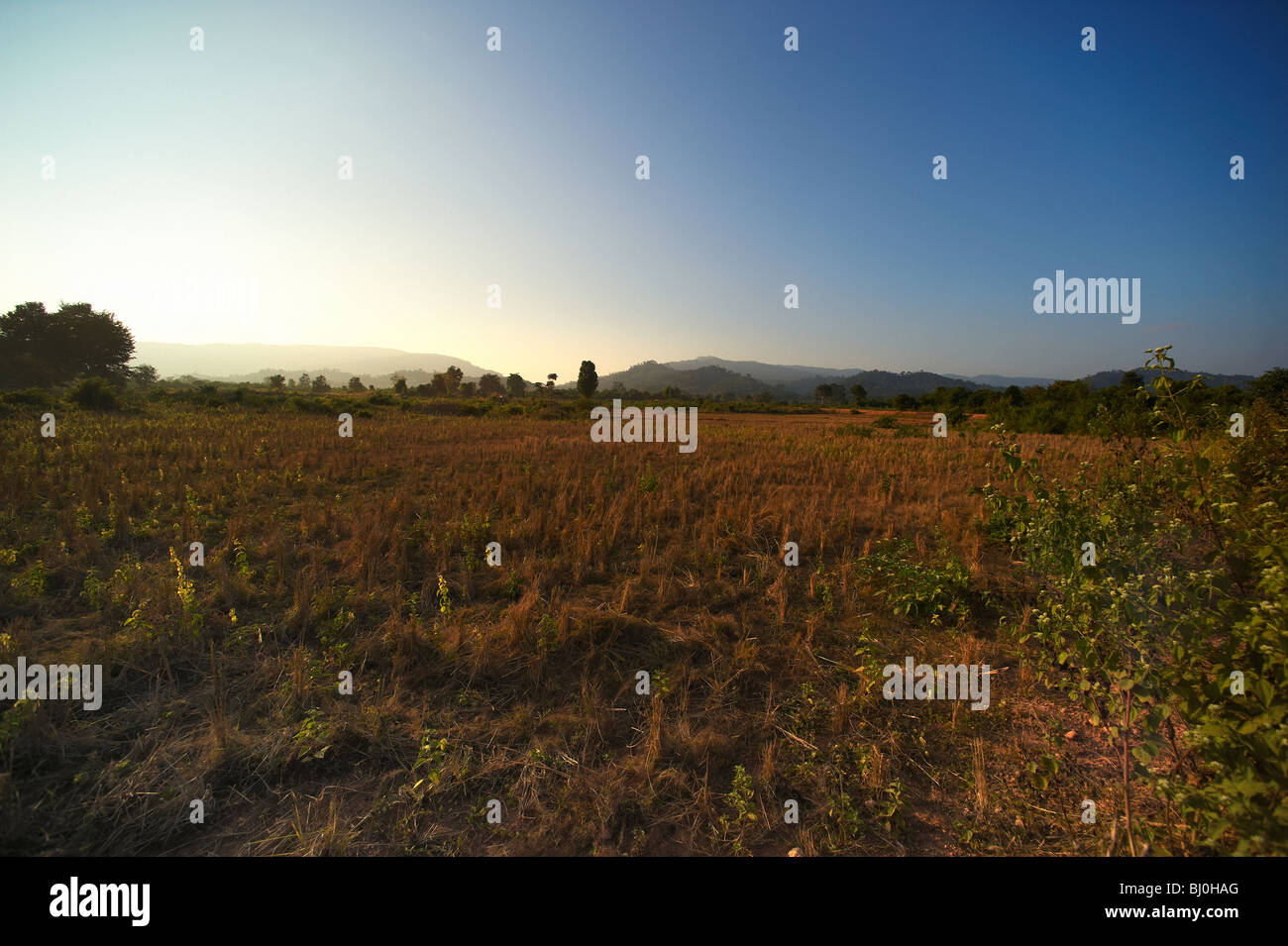 Paddy field lines hi-res stock photography and images - Alamy