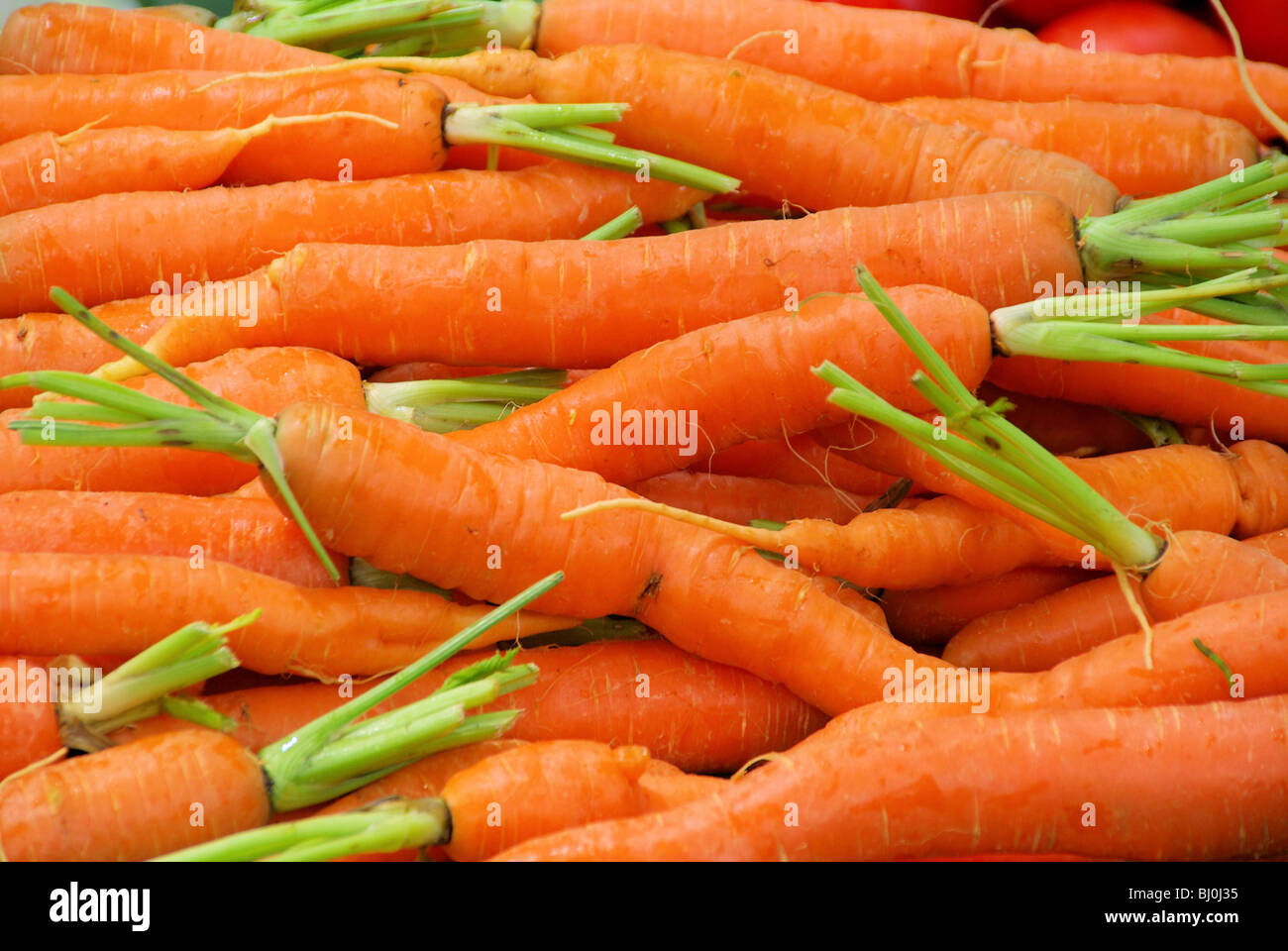 Carrot leaf carrot hi-res stock photography and images - Alamy