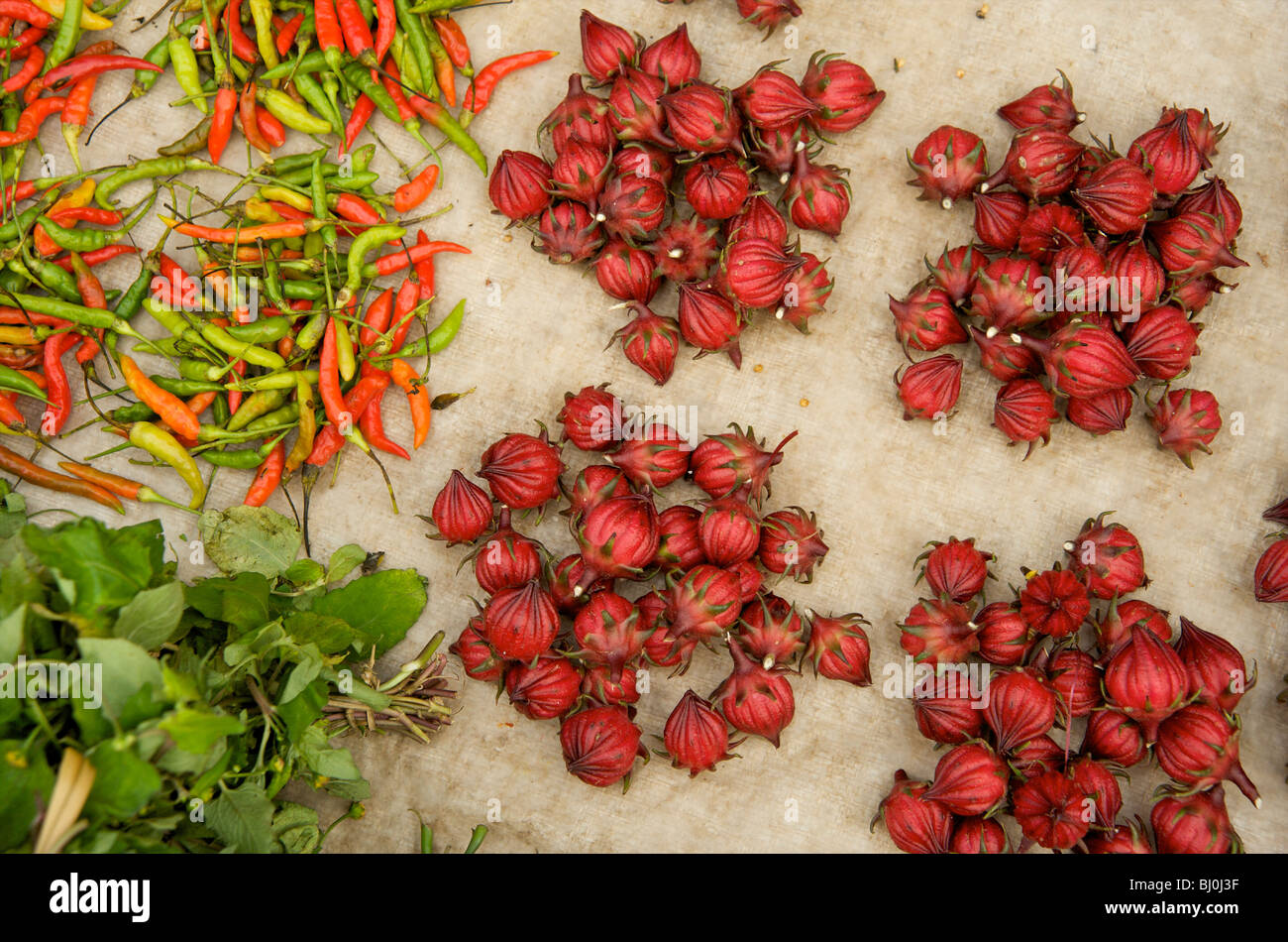 Red Roselle hibiscus fruit in Luang Prabang's food market Stock Photo ...