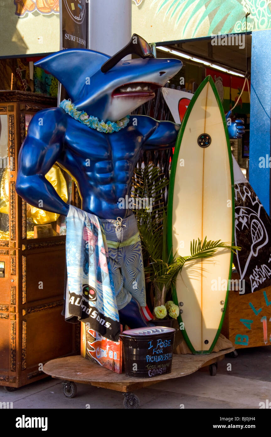 Shark Art Store Front Stock Photo - Alamy