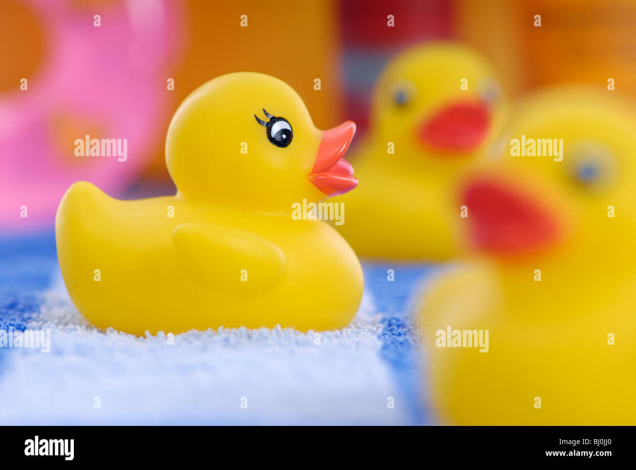 Rubber toy birds hi-res stock photography and images - Alamy