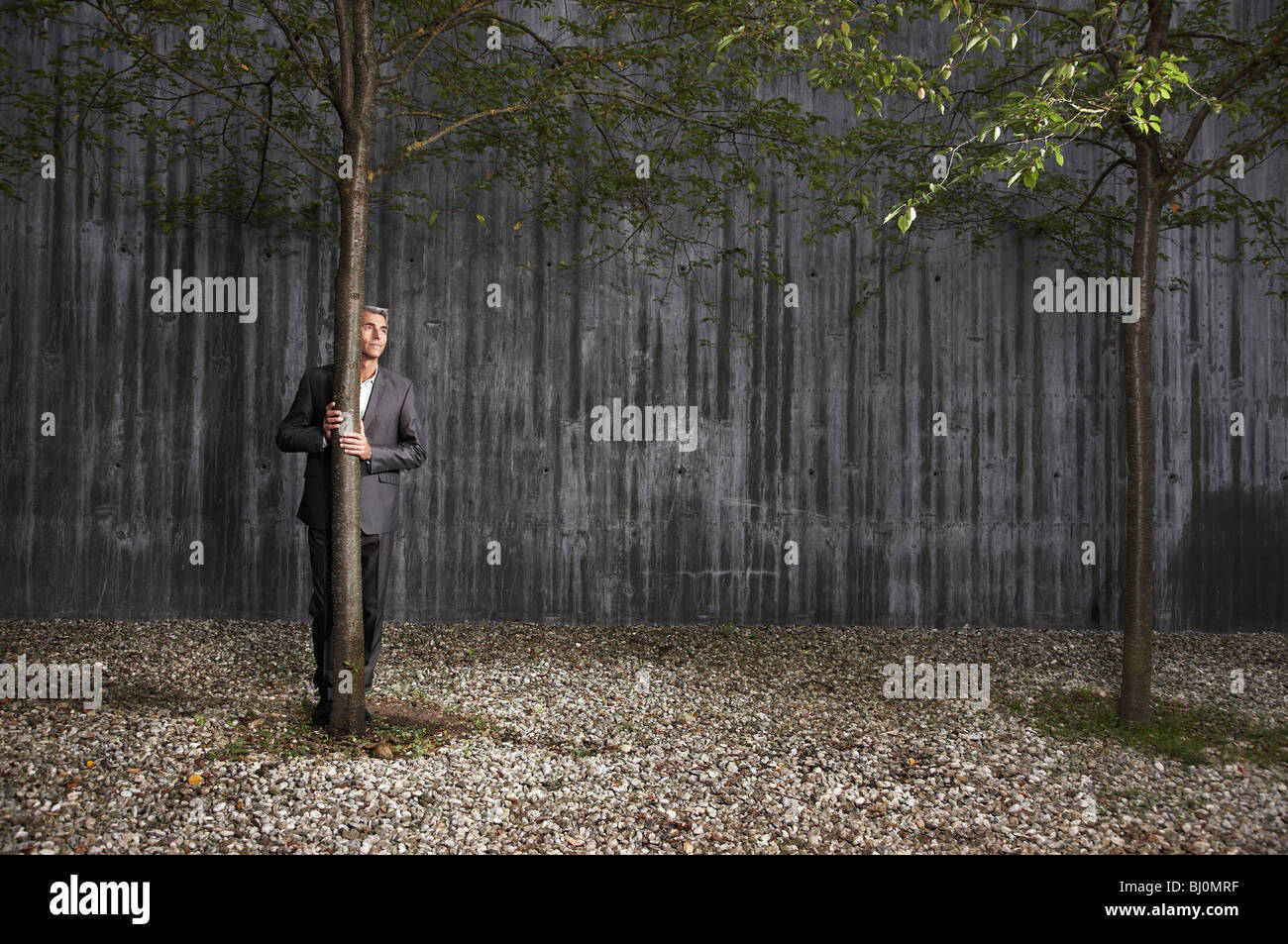 businessman standing behind tree in front of concrete wall Stock Photo ...