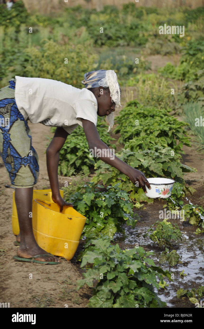 Watering garden africa hi-res stock photography and images - Alamy