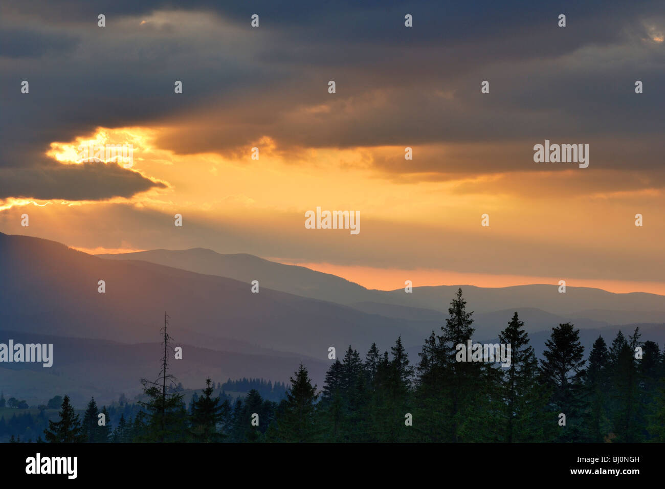 landscape in yablunitsa area of ukraine Stock Photo - Alamy