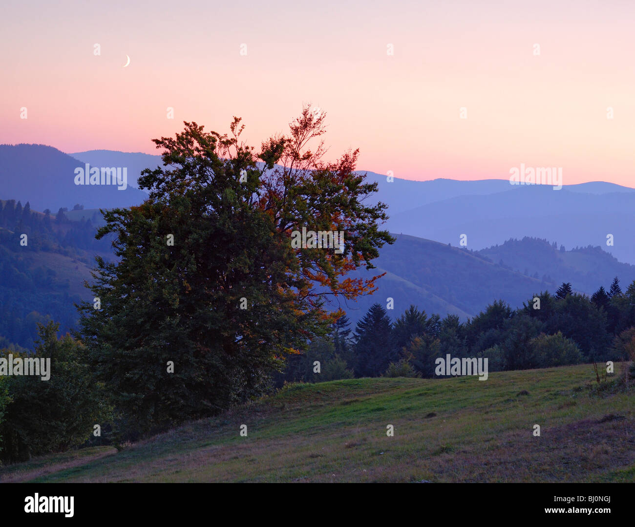 Mezhgorye hi-res stock photography and images - Alamy