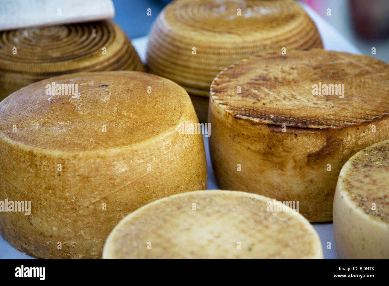 close-up of Italian cheeses Stock Photo - Alamy