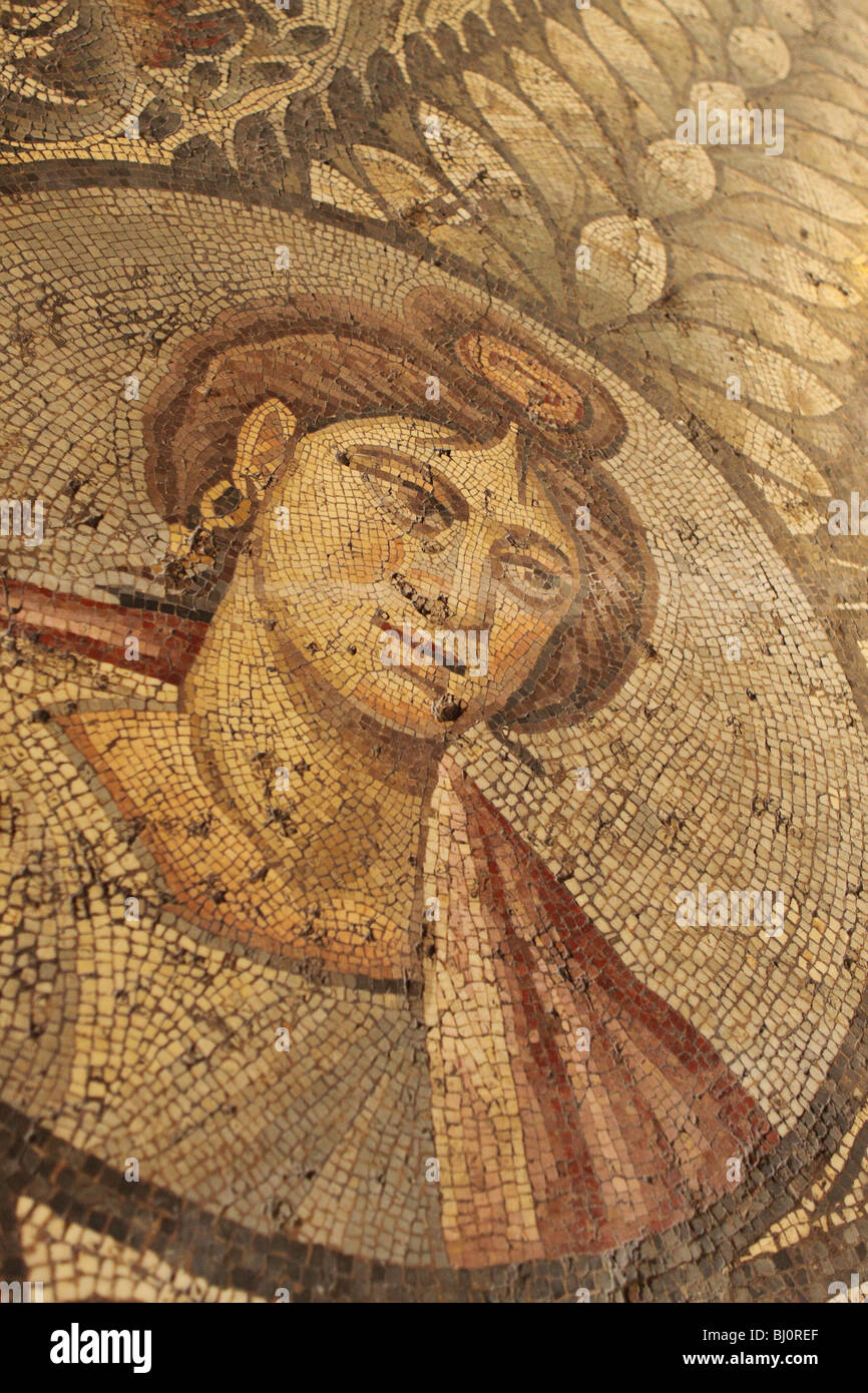 Roman mosaic britain hi-res stock photography and images - Alamy