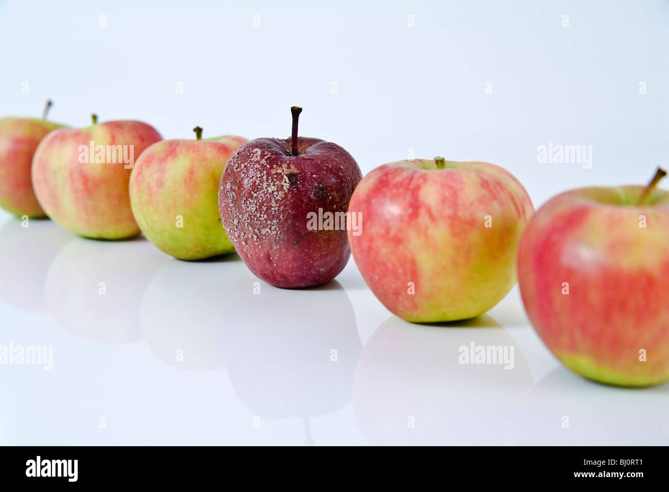 Rotten apple hi-res stock photography and images - Alamy