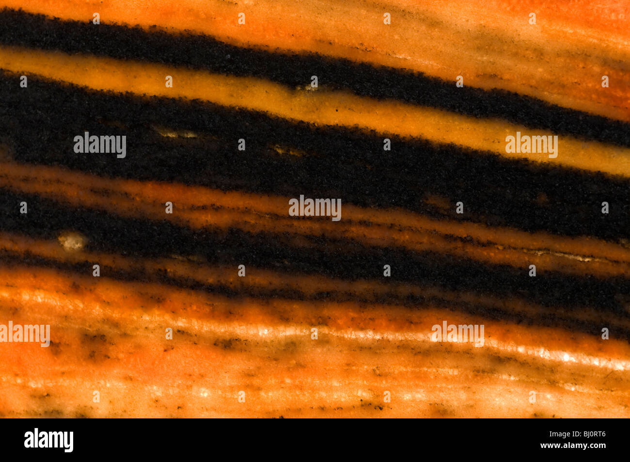 translucent rock section showing striations photographed with ...