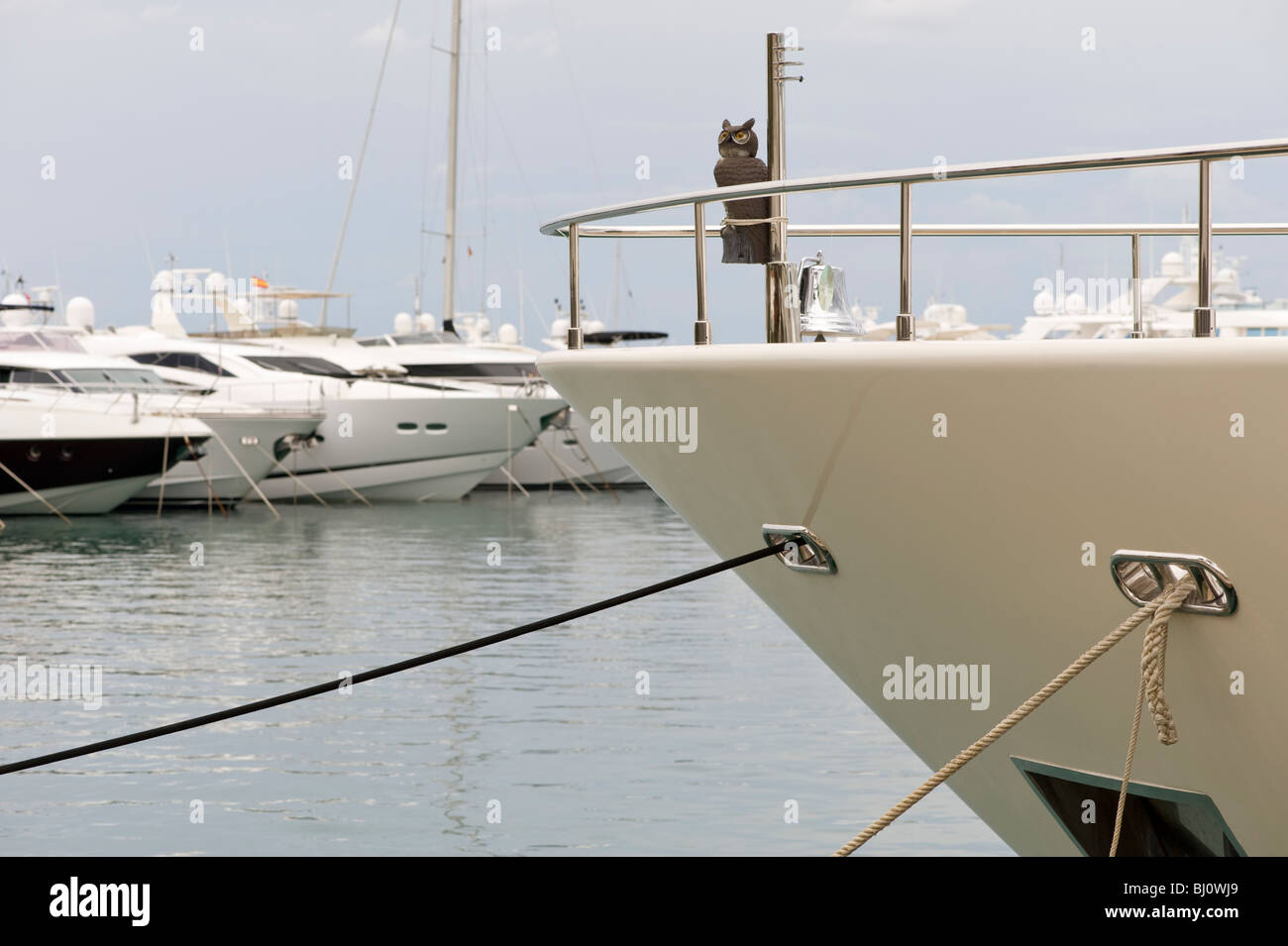 the marina of Port Nous in Majorca in Spain Stock Photo - Alamy