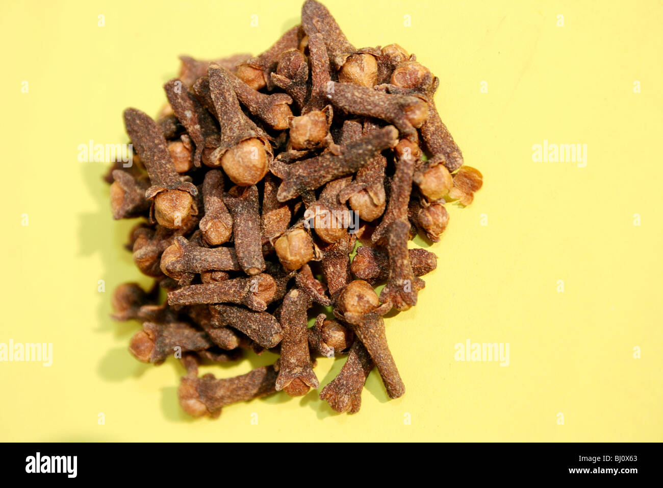 Dry clove isolated on hi-res stock photography and images - Alamy