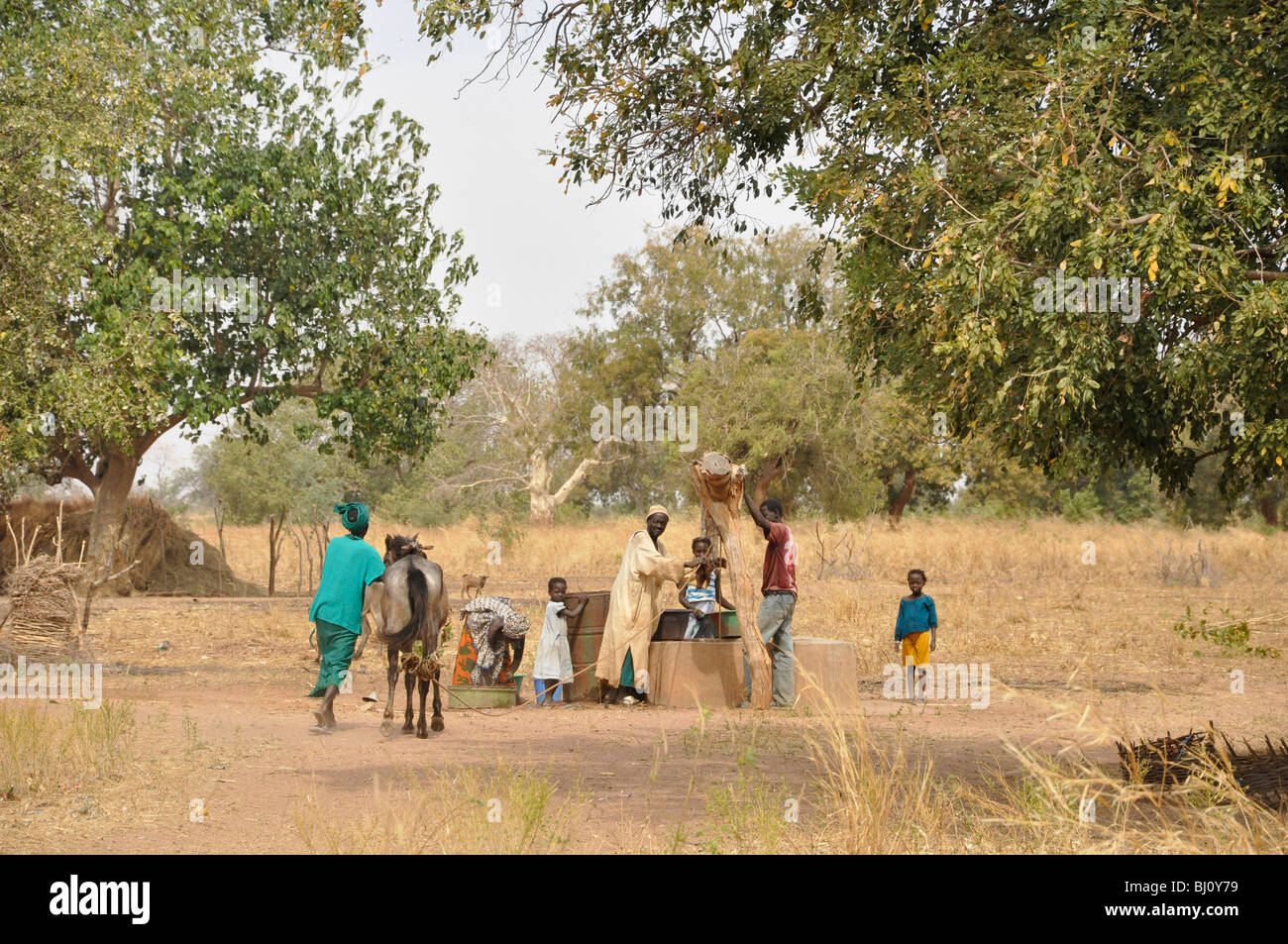 People of gambia hi-res stock photography and images - Alamy