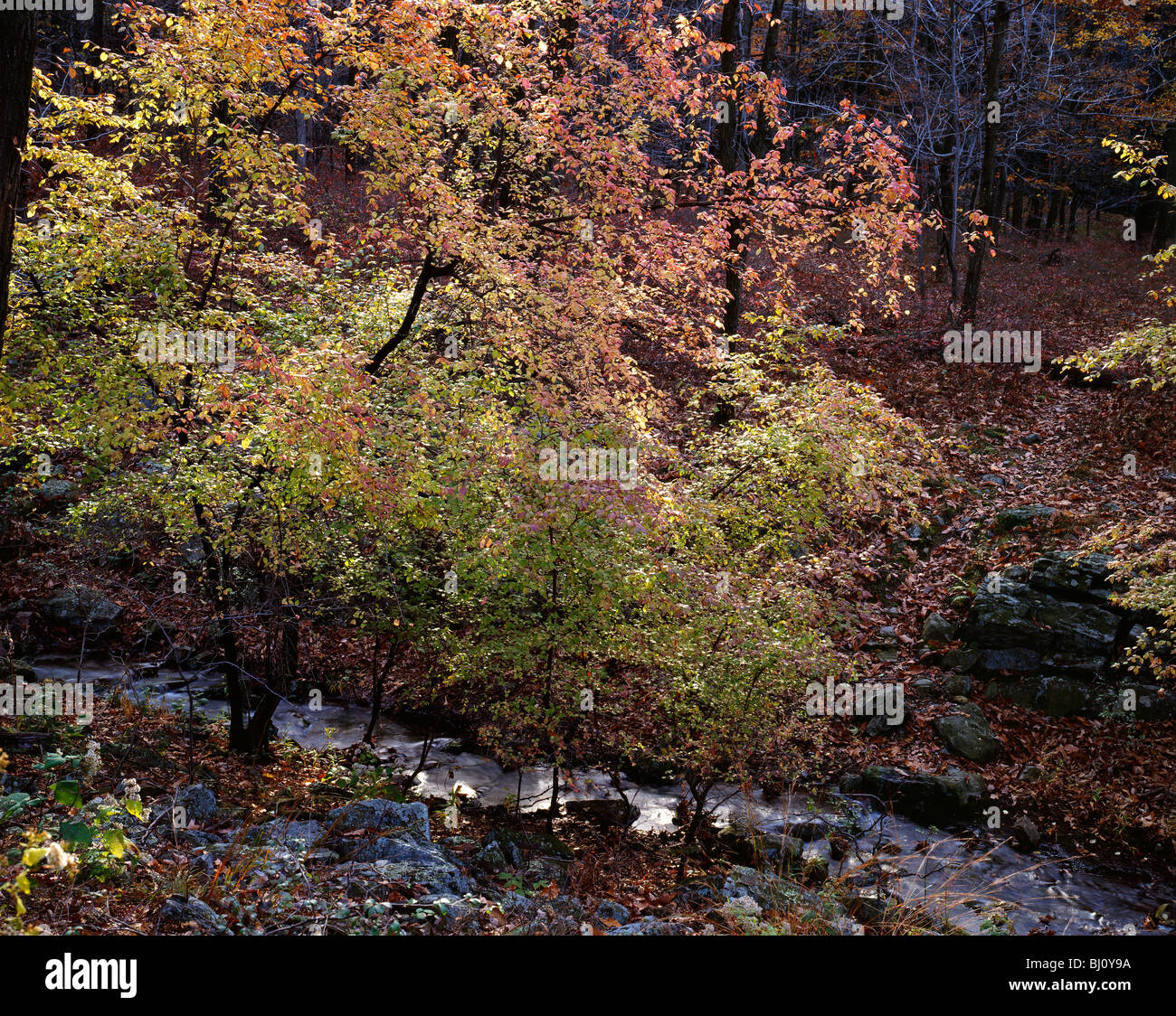 State, delaware, scenic hi-res stock photography and images - Alamy