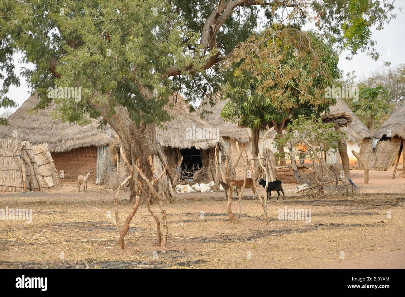 Village compound africa gambia hi-res stock photography and images - Alamy