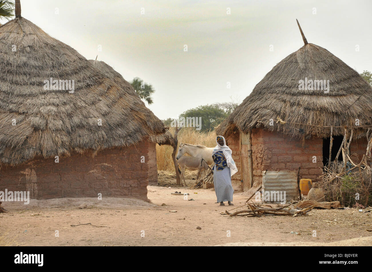 Homes in village in gambia hi-res stock photography and images - Alamy