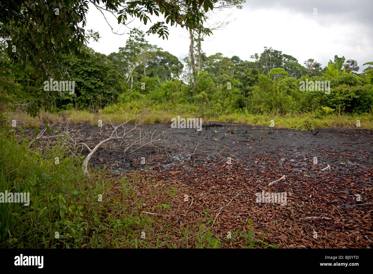 Oil waste pits and pipes in the Ecuadorian Amazon created by Texaco Oil ...