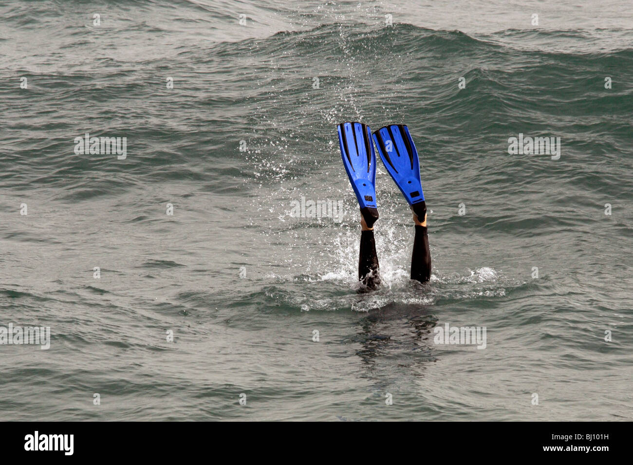 Scuba diver diving in Pajara, Spain Stock Photo - Alamy