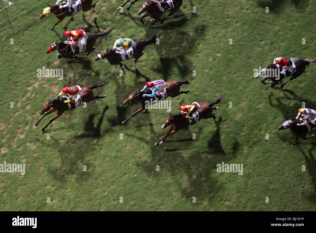 Aerial view of horses galloping hi-res stock photography and images - Alamy