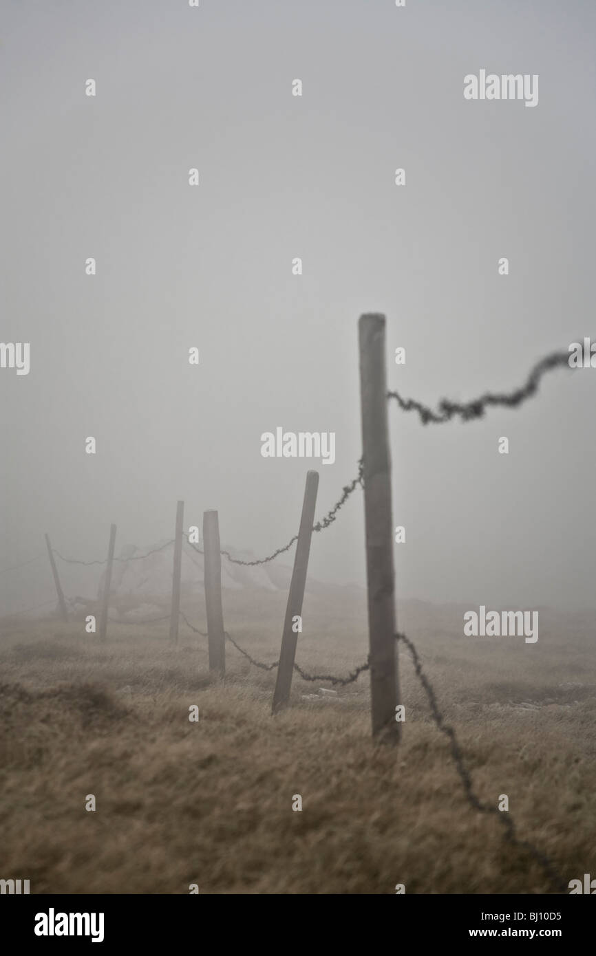 fence with fog Stock Photo - Alamy