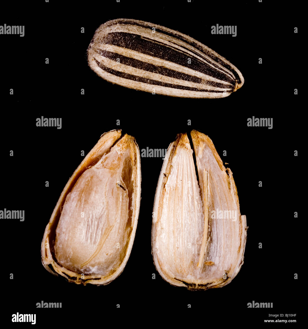 Grain economy hi-res stock photography and images - Alamy