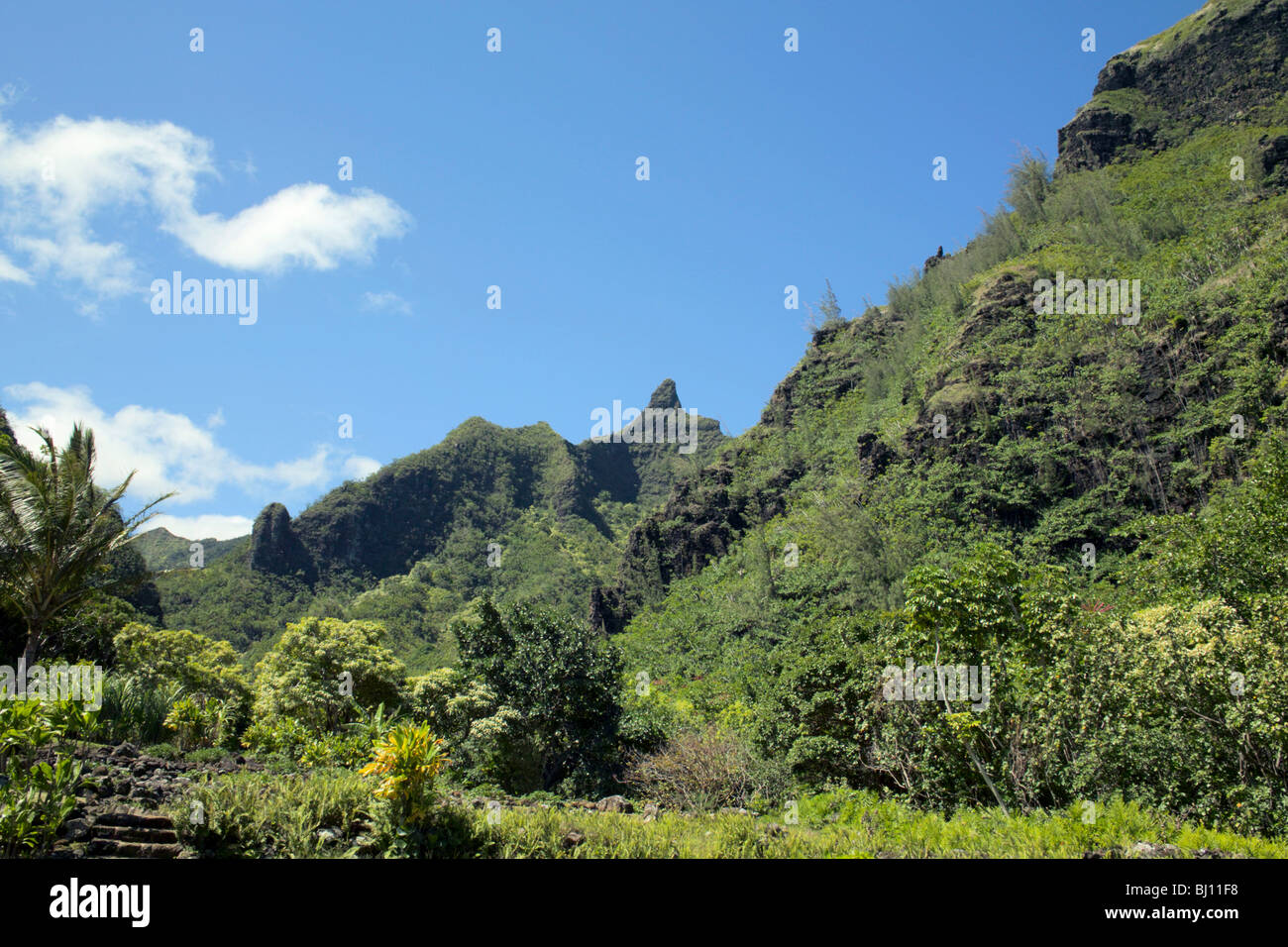 Limuhuli Valley Kauai HI Stock Photo - Alamy