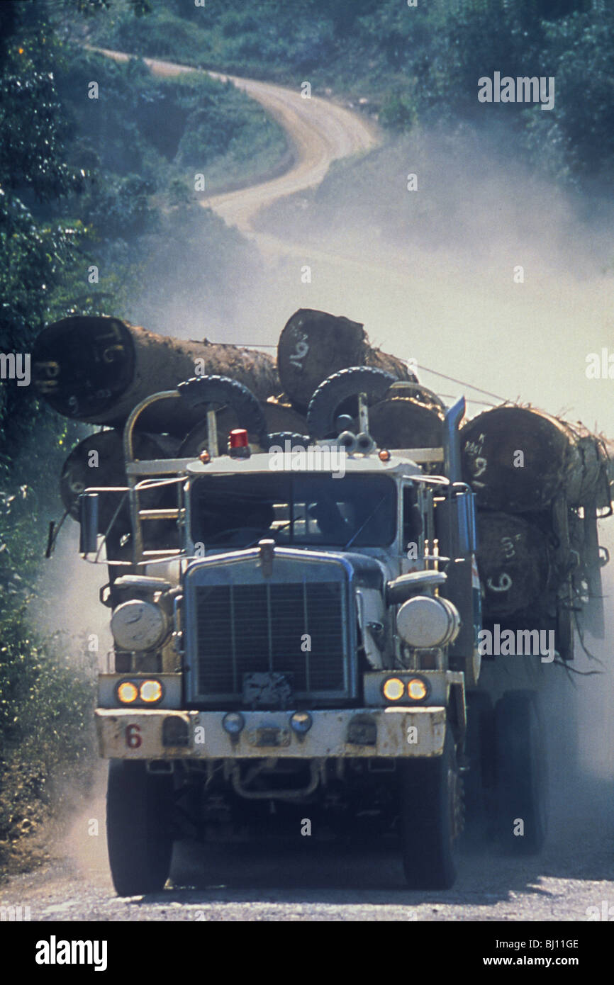 Loaded timber truck hurtling down logging trail Stock Photo - Alamy