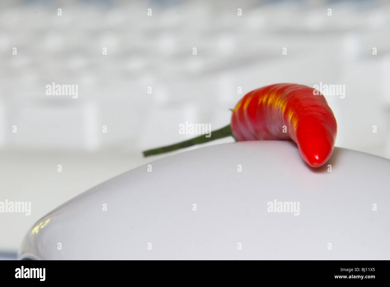 Computermouse with pepper Stock Photo - Alamy