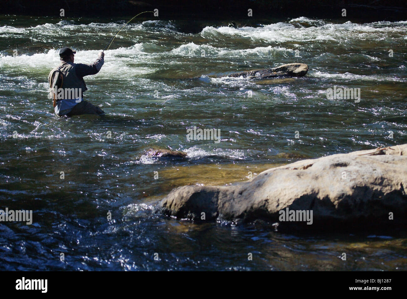 FLY FISHERMAN FIGHTING FAST RUNNING RIVER IN SEARCH OF TROUT TOCCOA ...