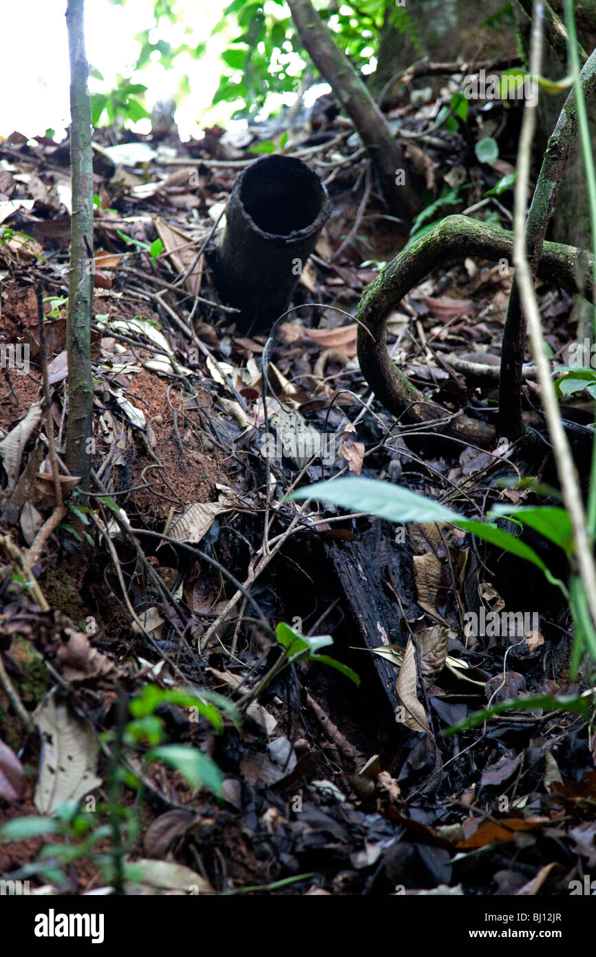 Oil waste pits and pipes in the Ecuadorian Amazon created by Texaco Oil ...