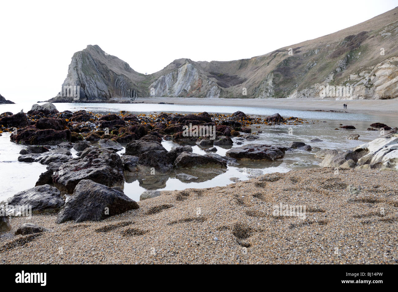 Exposed rocks low tide hi-res stock photography and images - Alamy