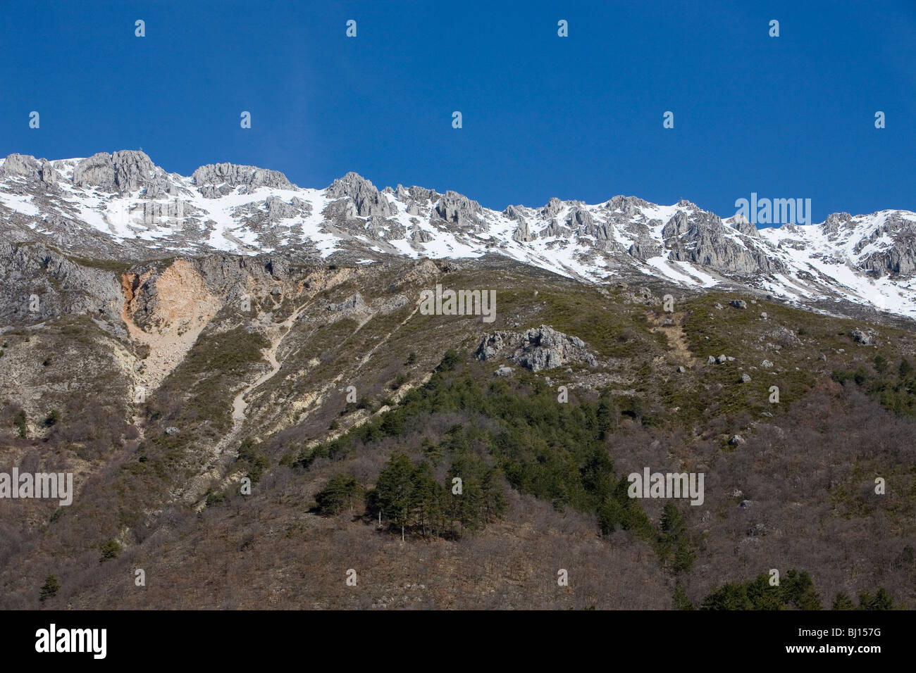 The cheiron hi-res stock photography and images - Alamy