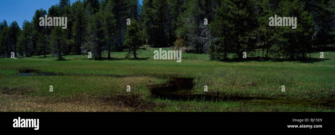 Mcgurk meadow hi-res stock photography and images - Alamy