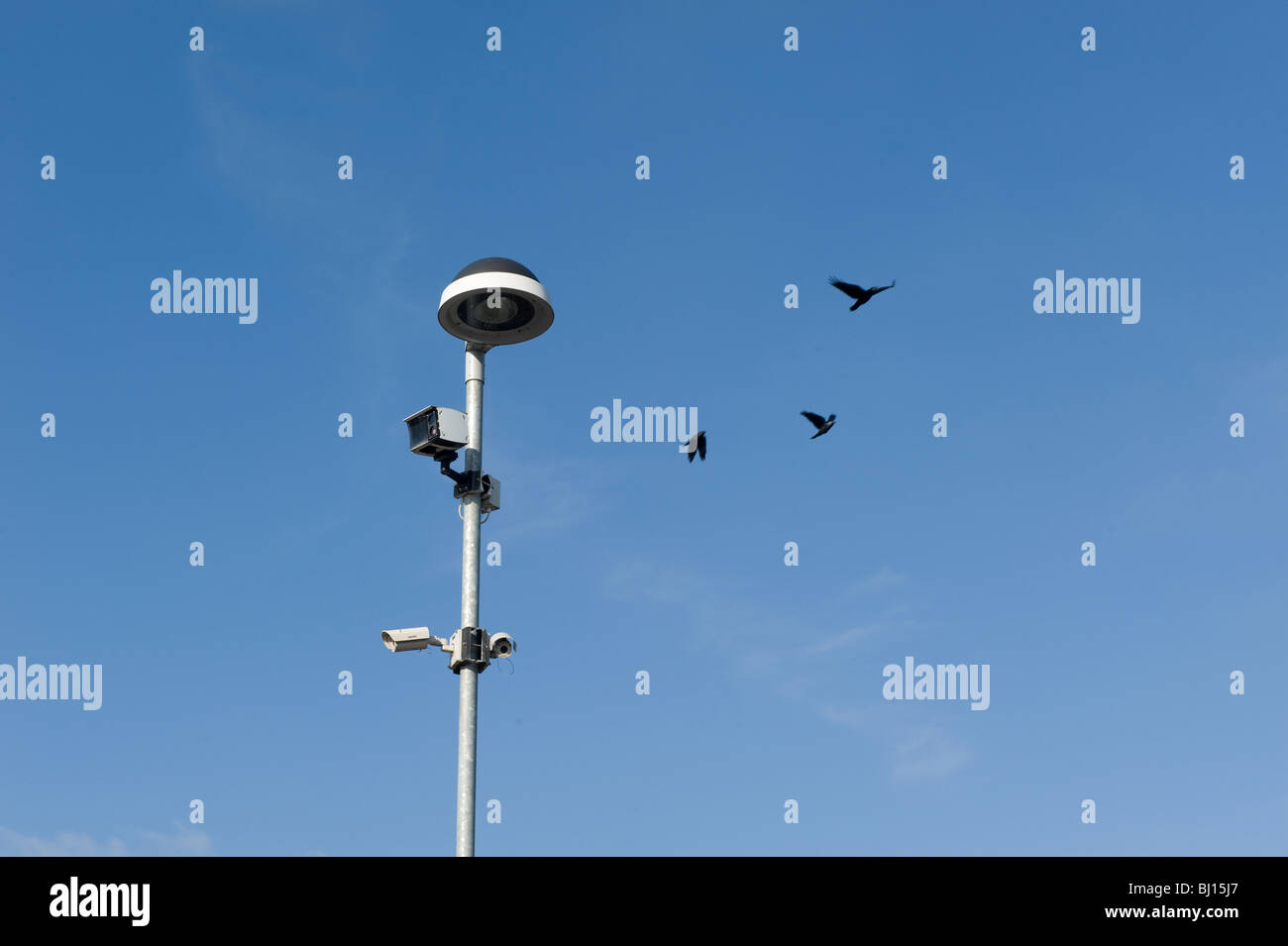 Security cameras mounted on a lamp post Stock Photo - Alamy