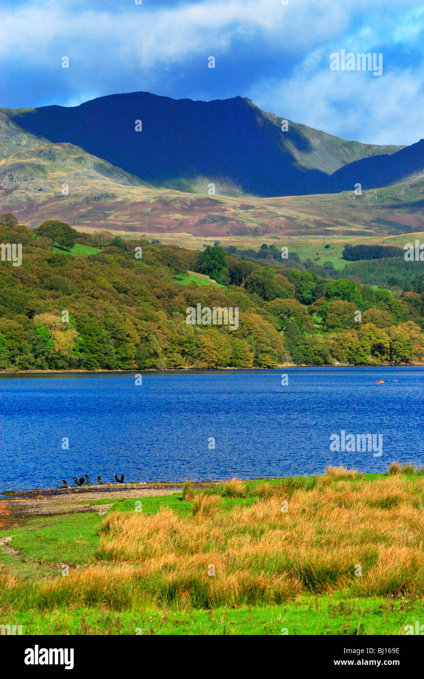 Coniston summer hi-res stock photography and images - Alamy